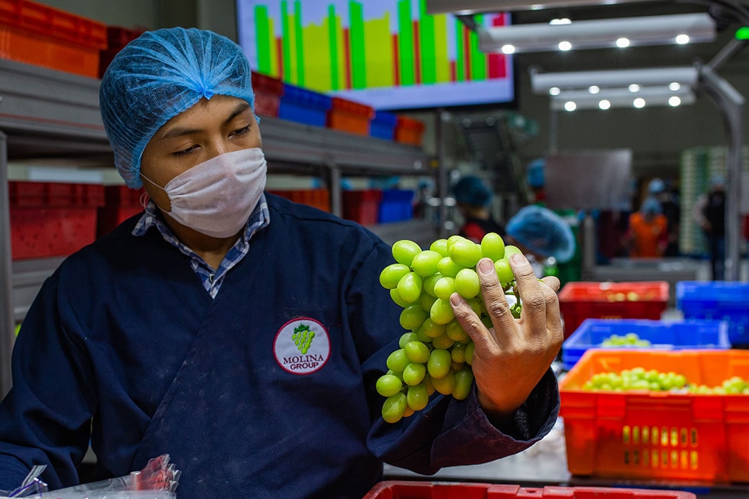 About Us – Fresh Farms